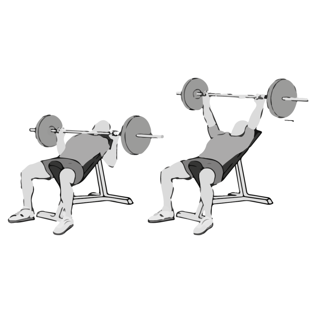 Ejercicio con la barra en el gimnasio